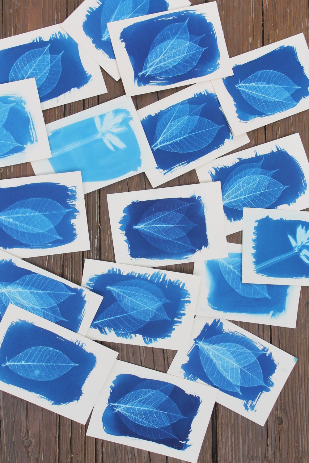 Original Cyanotype Leaf, Cyanotypes, Sun Print, Blue Leaf, Blue Home ...