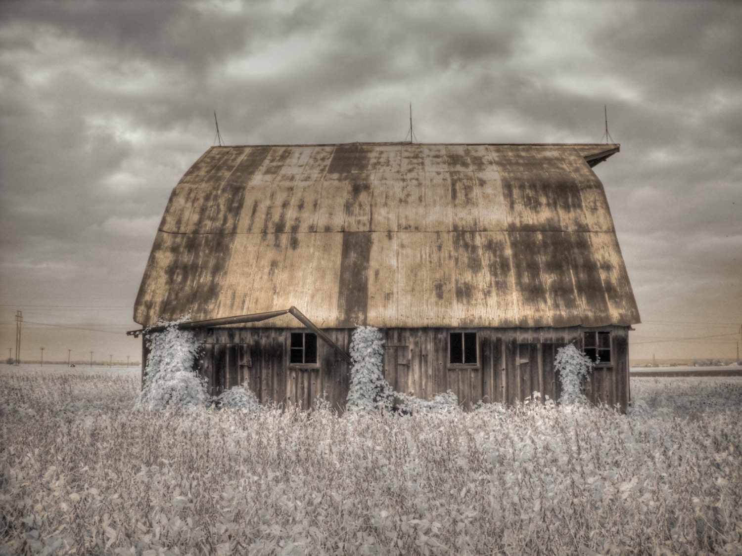 Barn Photography, Barn Photo, Rustic Barn, Infrared Photography, Feng ...