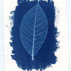Original Cyanotype Leaf, Cyanotypes, Sun Print, Blue Leaf, Blue Home ...
