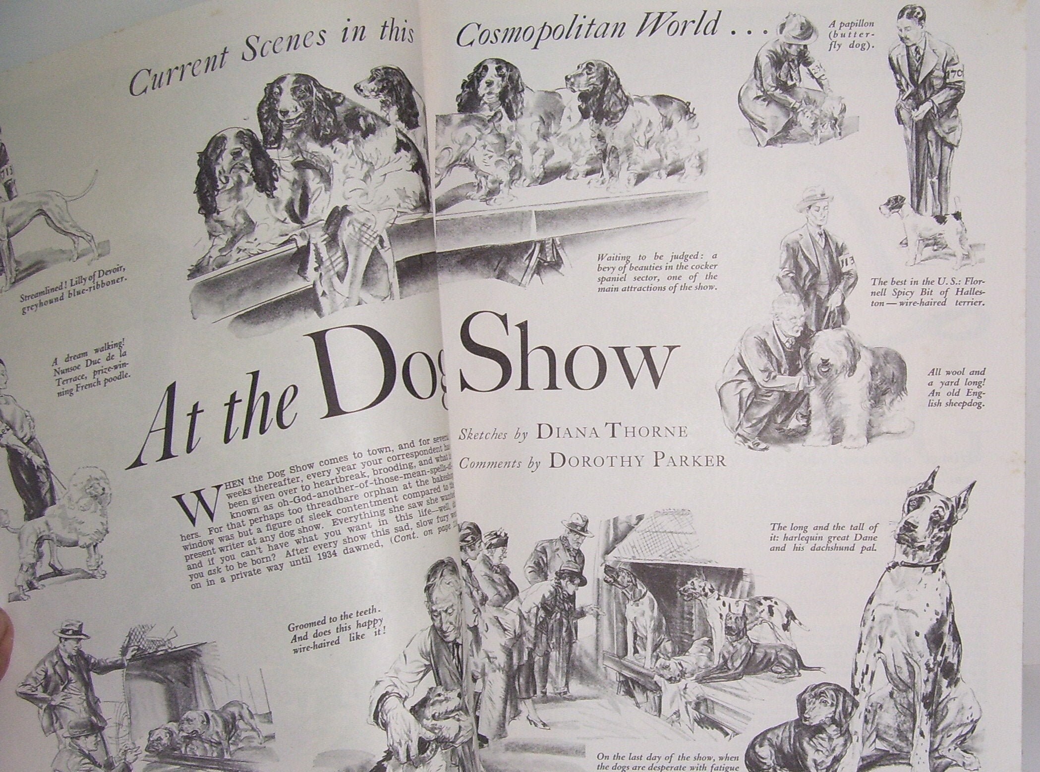 1934 Cosmopolitan Magazine Hearsts International Complete Magazine May ...