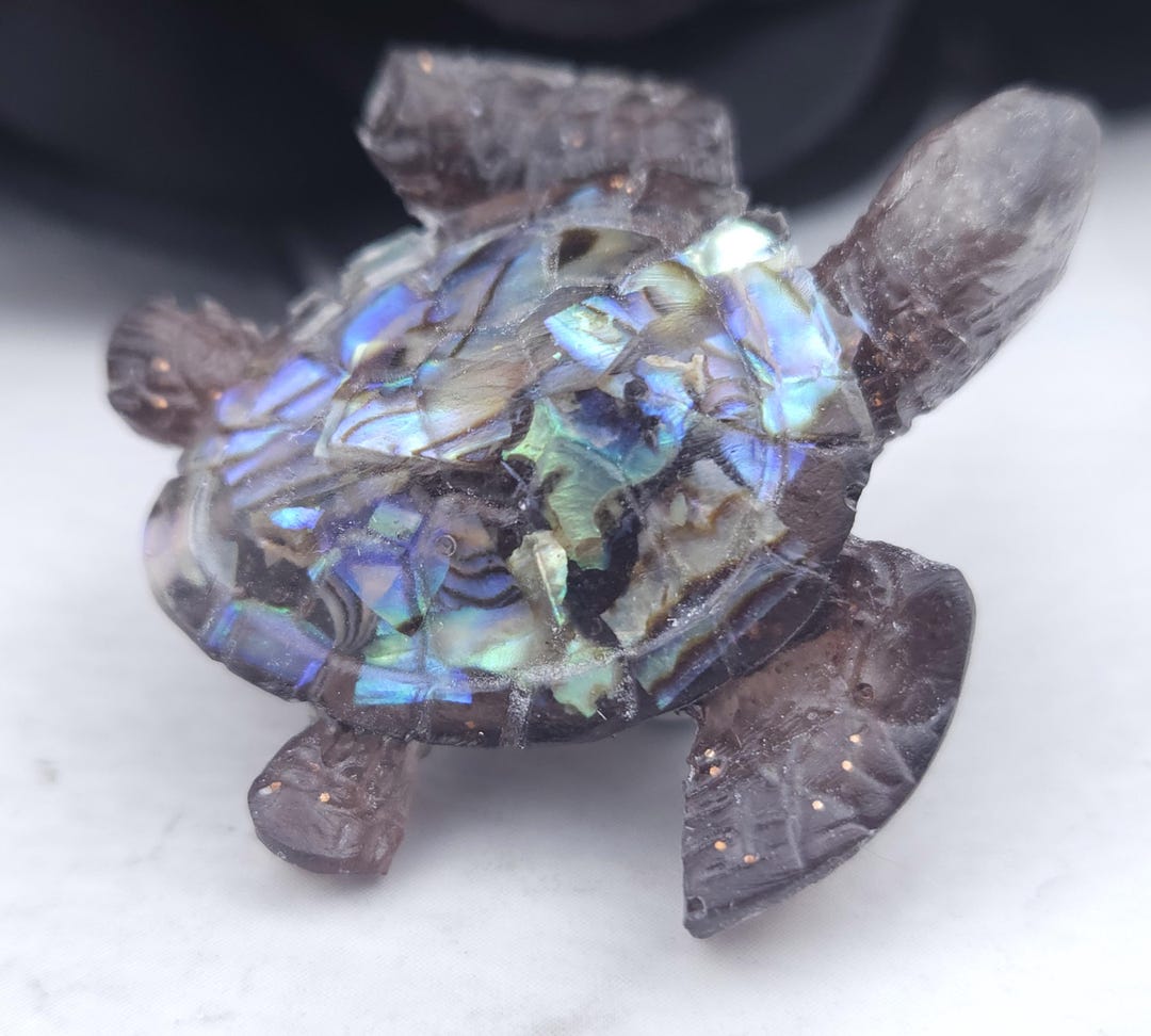 Paua Shell Resin Turtle Magnet or Pendant Your Choice - SRA - Etsy