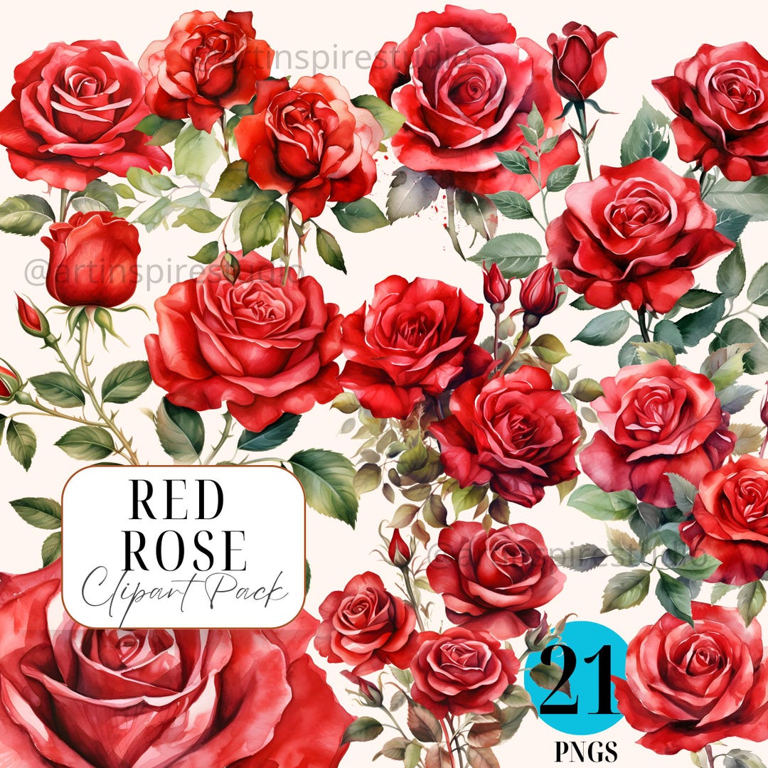 Red Rose Watercolor Clipart, Floral Bouquet Clip Art , Clipart ...