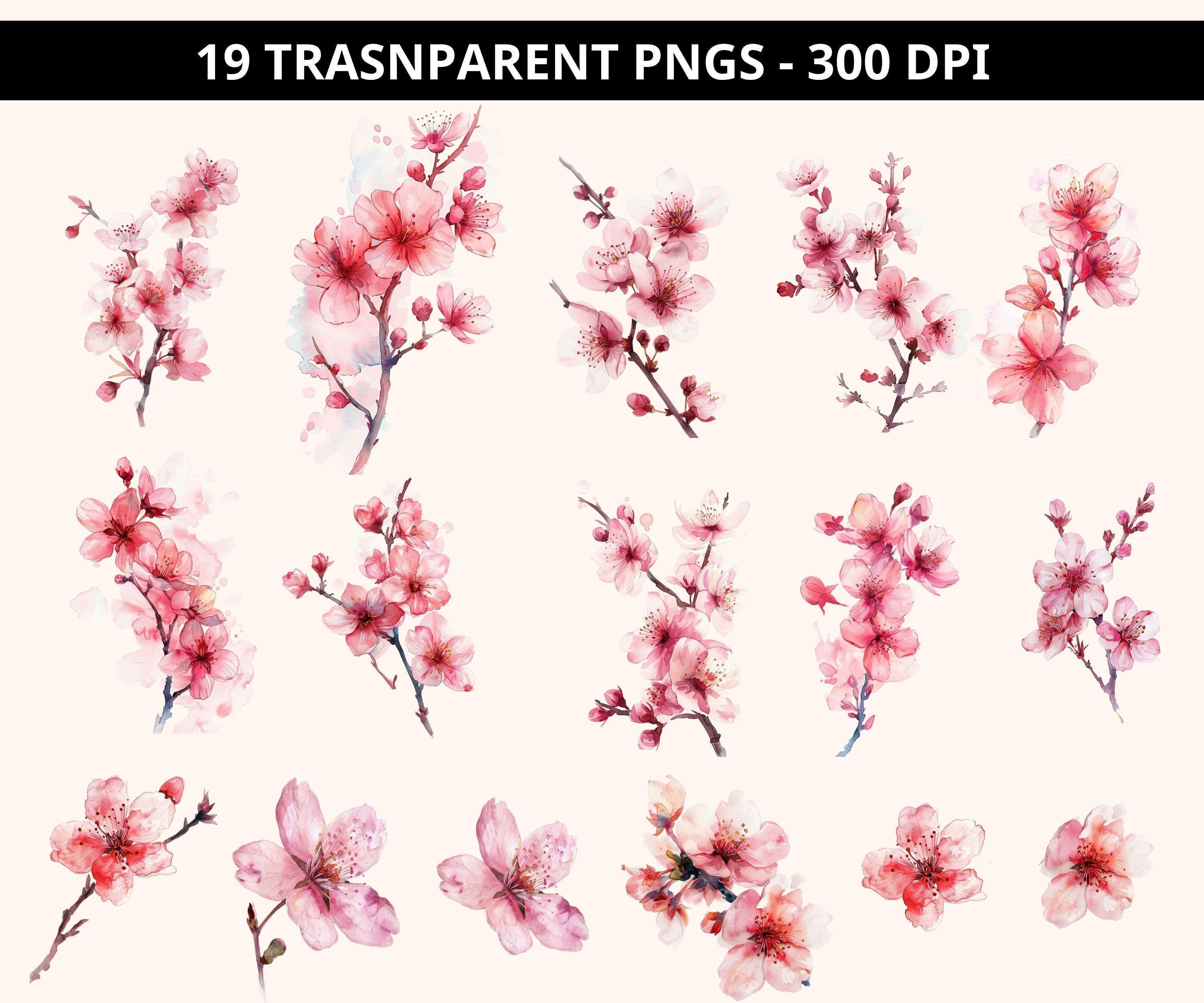 Cherry Blossom Clipart, Sakura Clipart, Spring Flowers, Wedding Clipart ...