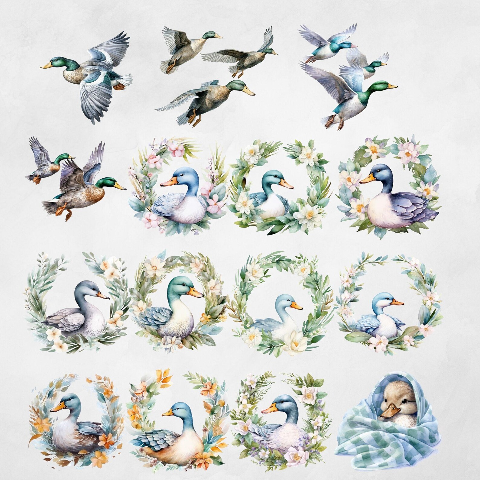 Mallard Duck Clipart, Mallard Ducks PNG, Watercolor Ducks Clipart ...