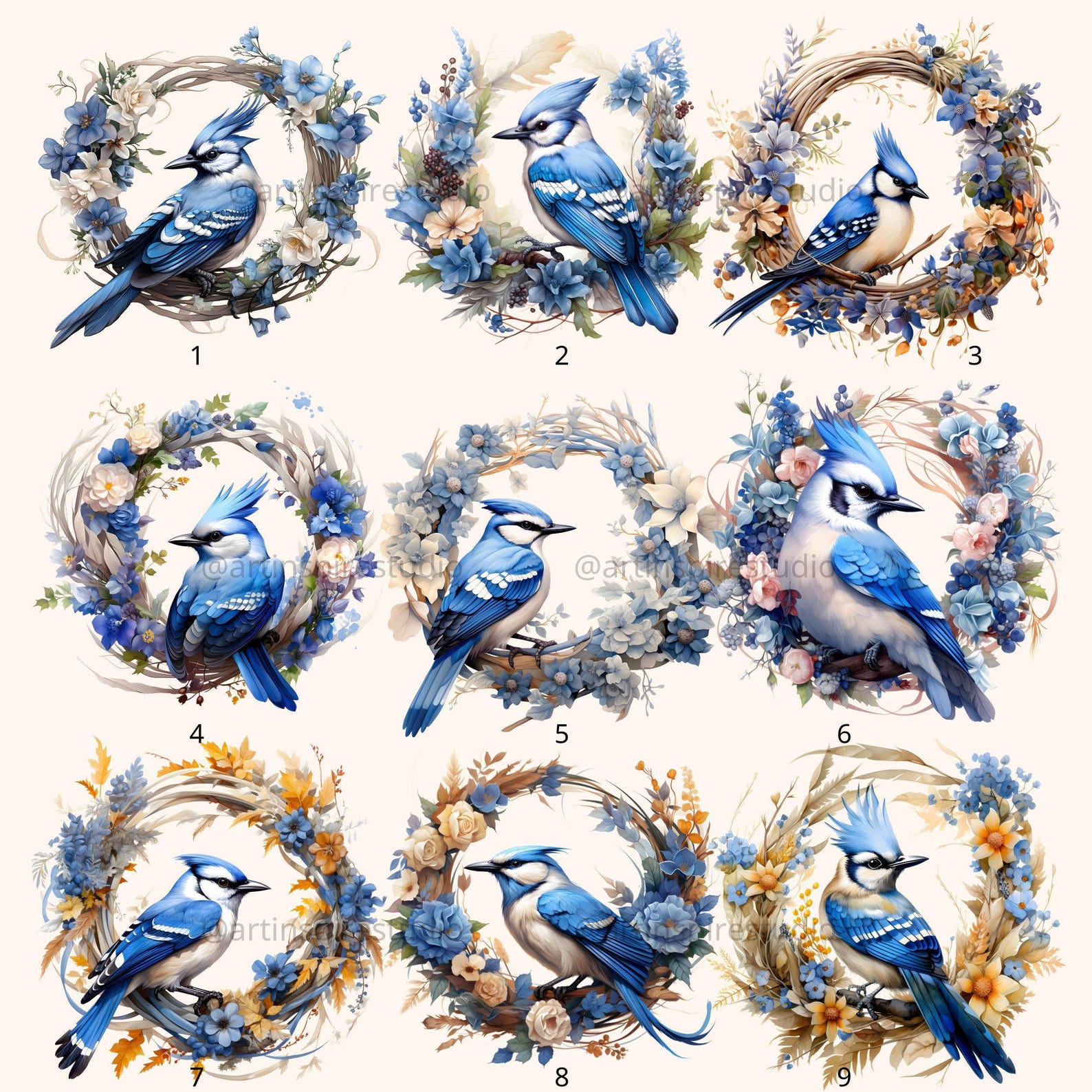 Watercolor Blue Jay Bird Clipart PNG Transparent Wreath Clipart ...