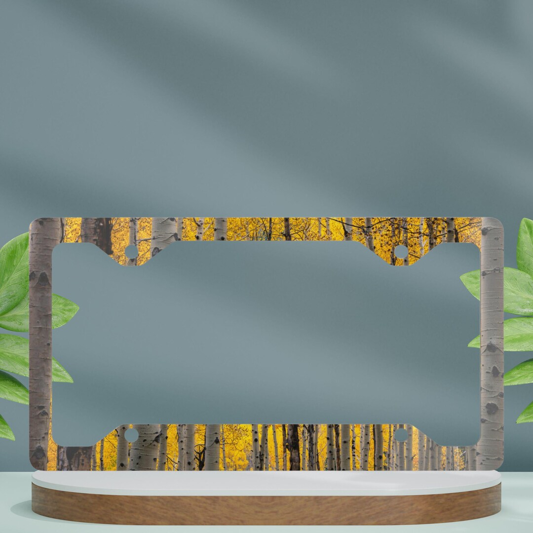 Autumn Birch Forest License Plate Frame – Nature Car Accessory, Fall ...