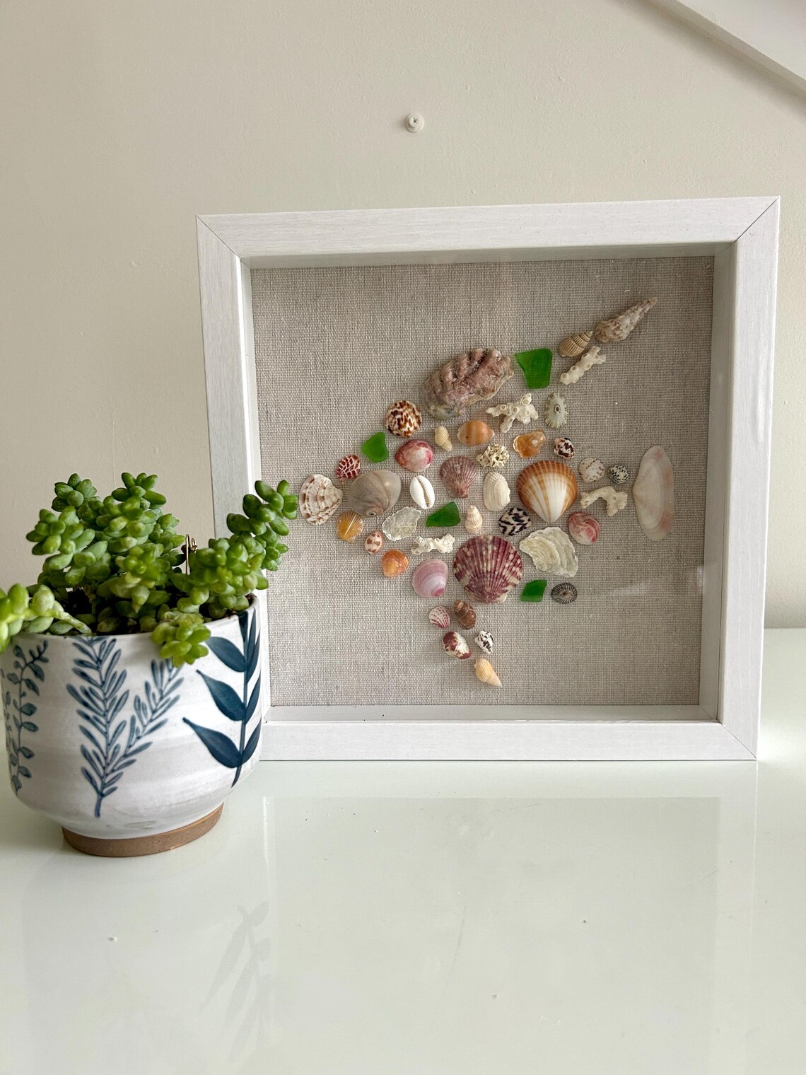Seashell Fish | Framed Coastal Shell Art | Beachcomber’s Collection ...