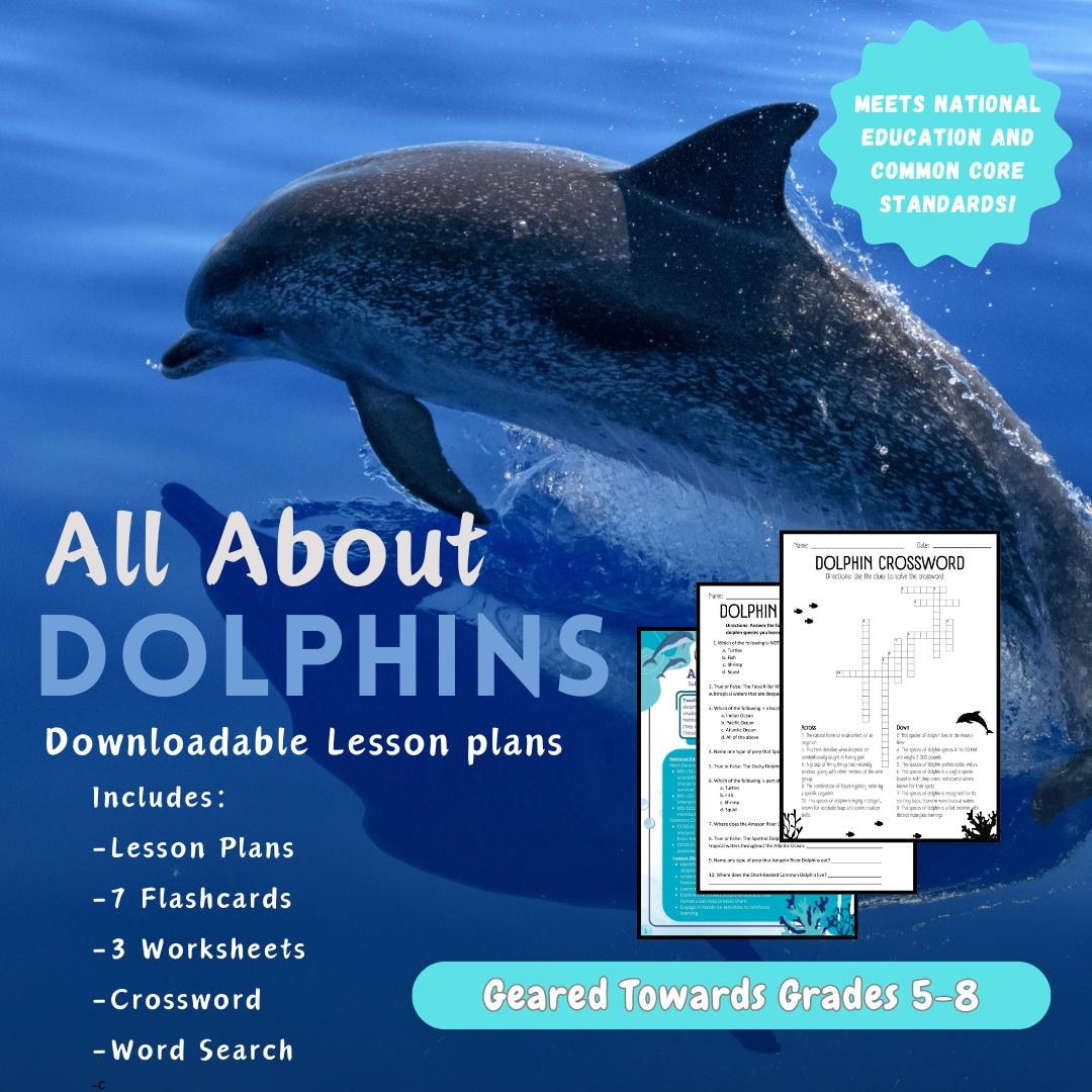 All About Dolphins Digital Lesson Plans for Grades 5-8 (middle School ...
