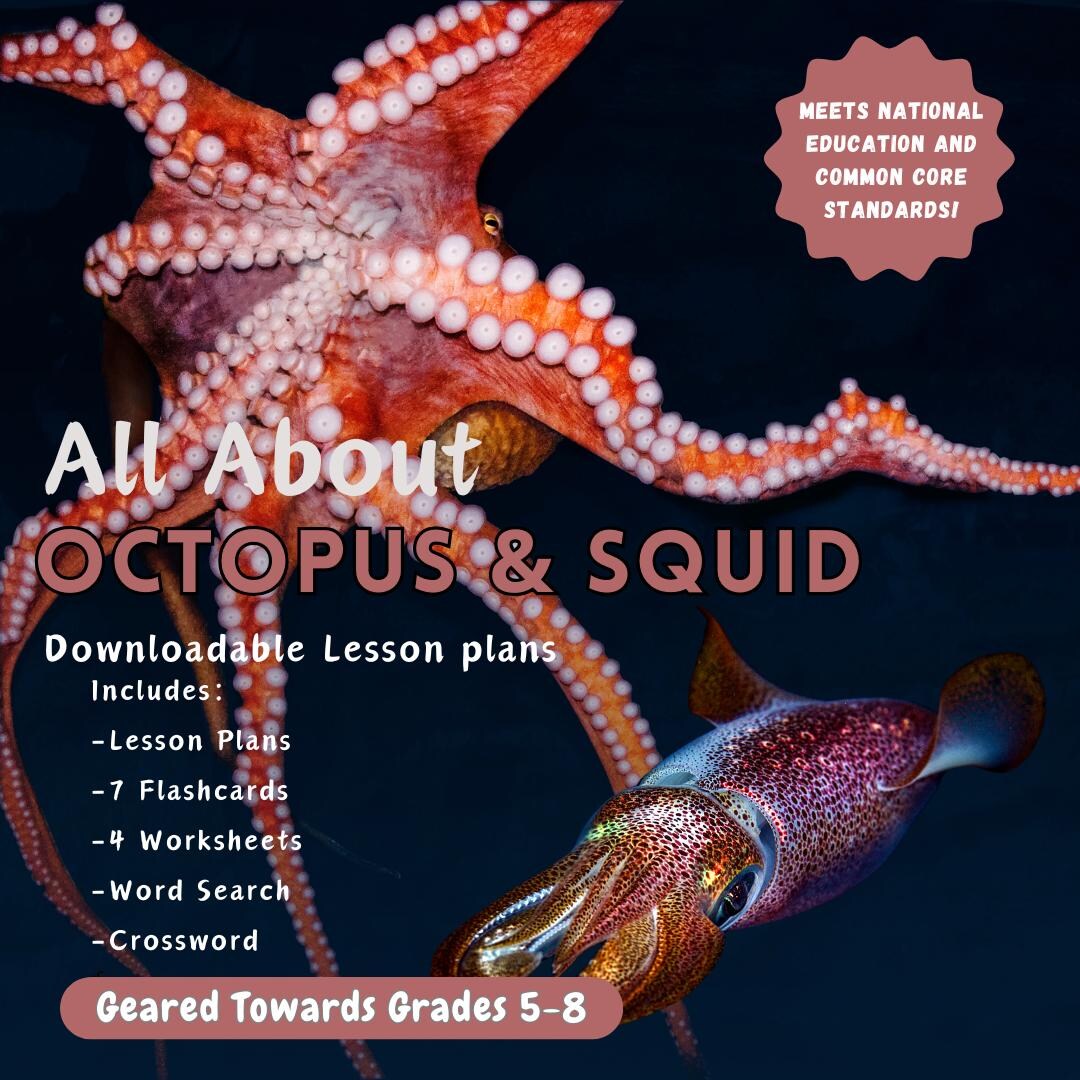 All About Octopus and Squid Digital Lesson Plans for Grades 5-8 (middle ...