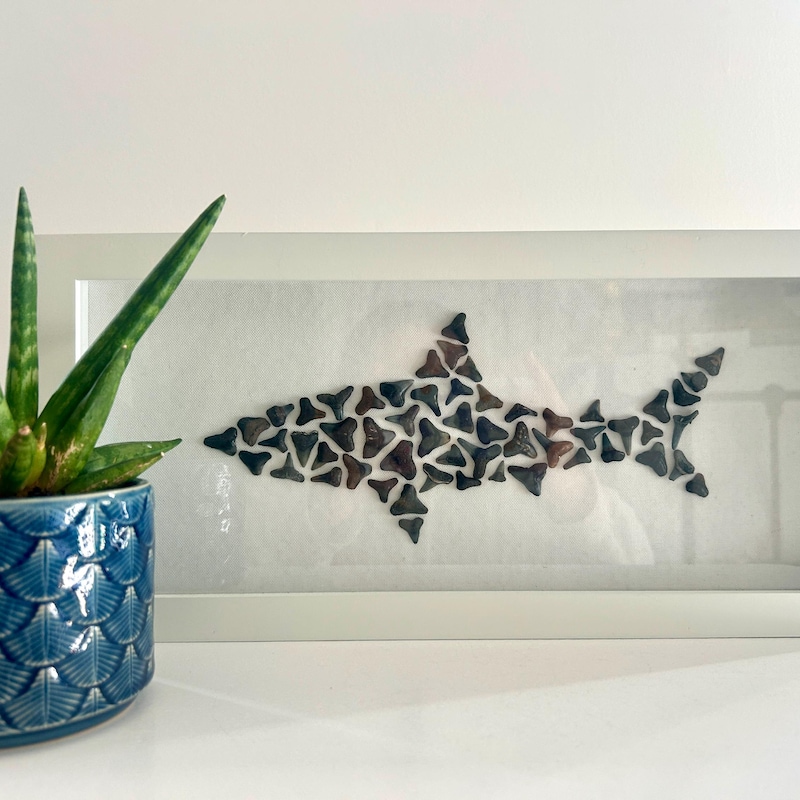 Glass Shark Artwork - Etsy