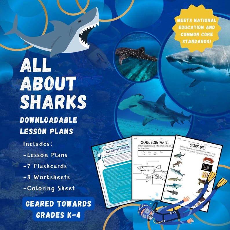 All About Sharks Digital Lesson Plans for Grades K-4 (elementary) - Etsy