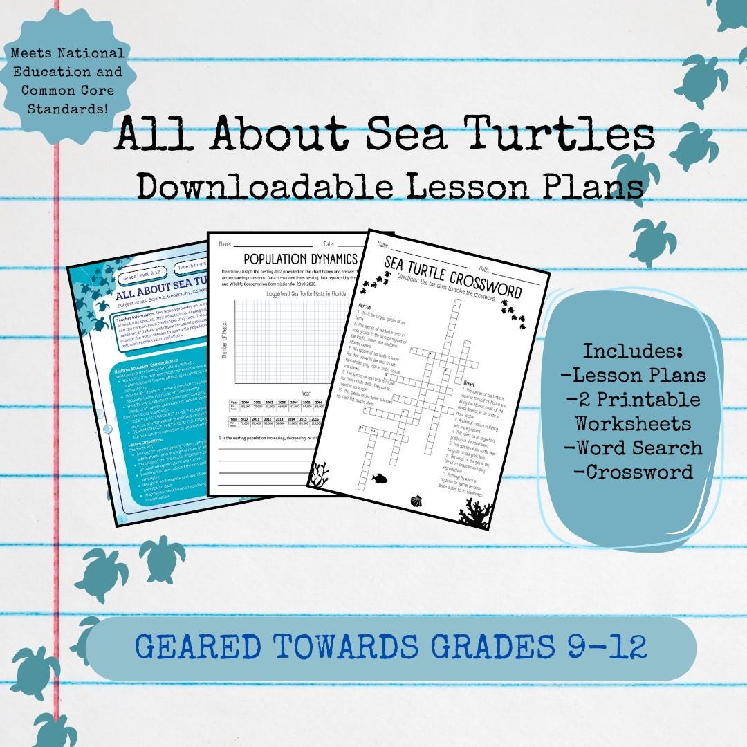 All About Sea Turtles Digital Lesson Plans for Grades 9-12 (high School ...