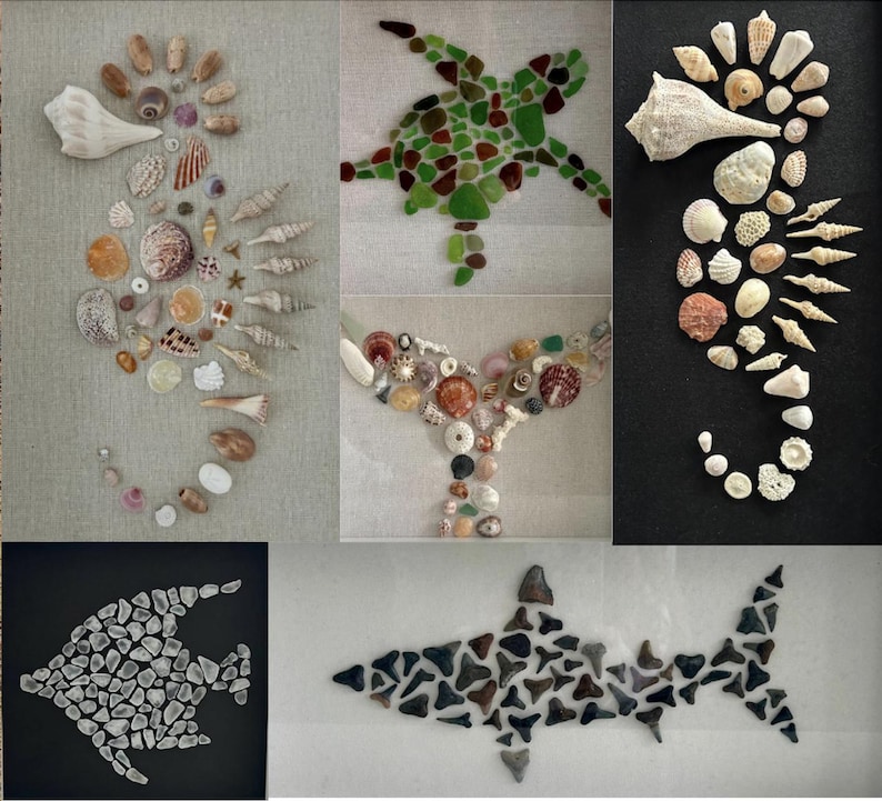 Custom Seashell Art: Beachcomber's Ocean Decor - Etsy