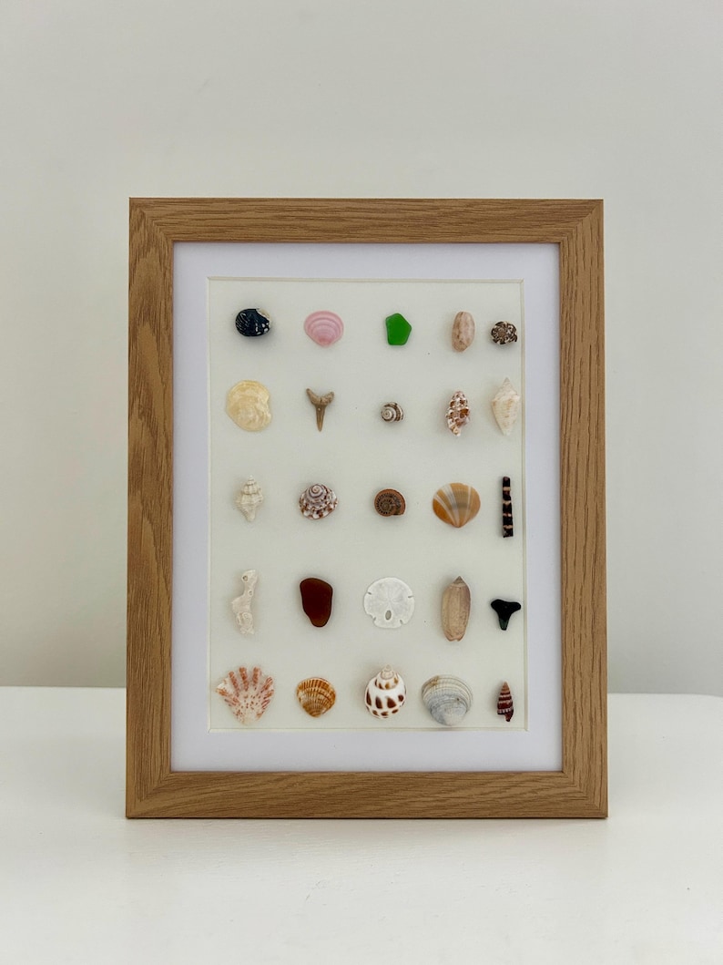7x9 Framed Coastal Shell Art | Beachcomber’s Collection | Ocean ...