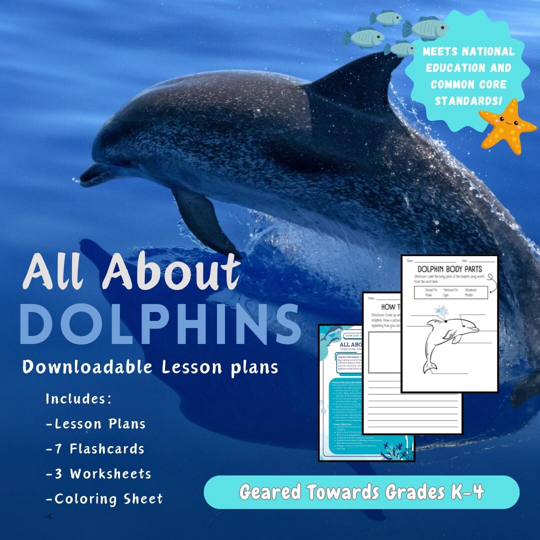 All About Dolphins Digital Lesson Plans for Grades K-4 (elementary) - Etsy