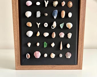 Seashell Fish | Framed Coastal Shell Art | Beachcomber’s Collection ...