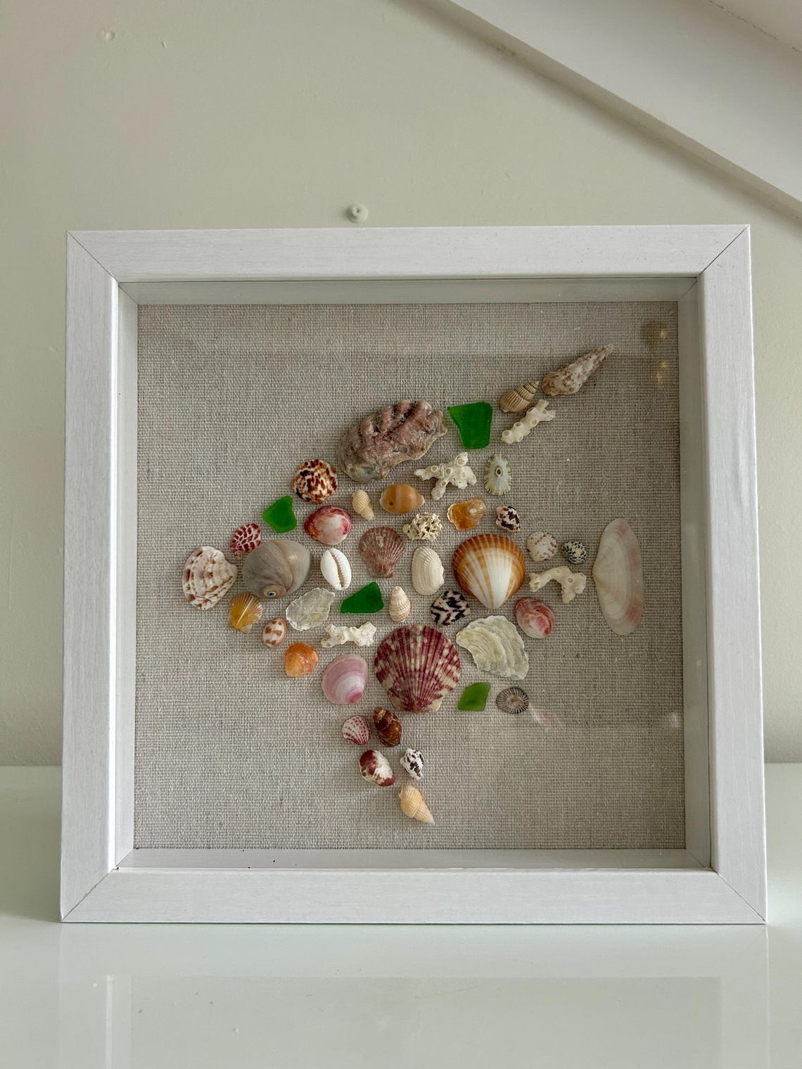 Seashell Fish | Framed Coastal Shell Art | Beachcomber’s Collection ...