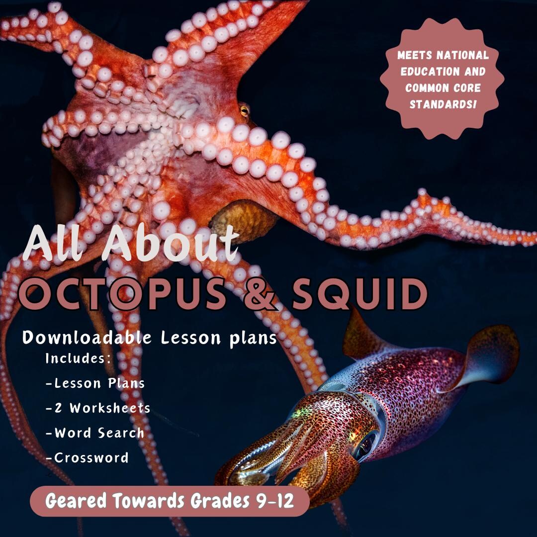 All About Octopus and Squid Digital Lesson Plans for Grades 9-12 (high ...