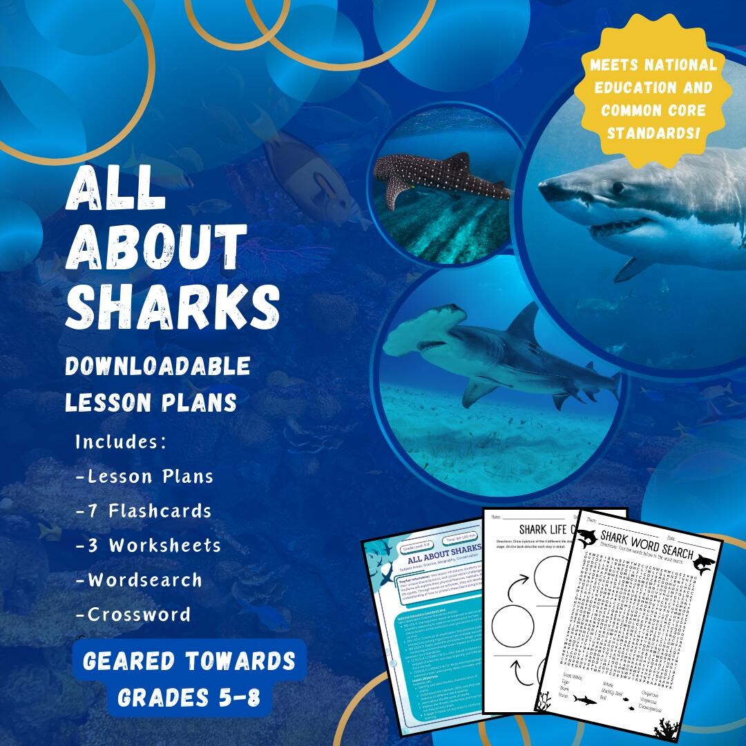All About Sharks Digital Lesson Plans for Grades 5-8 (middle School) - Etsy