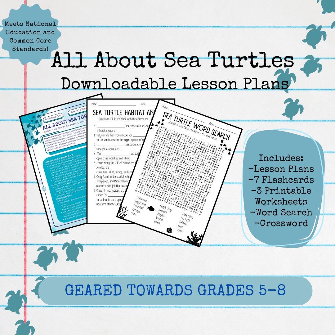All About Sea Turtles Digital Lesson Plans for Grades 5-8 (middle ...