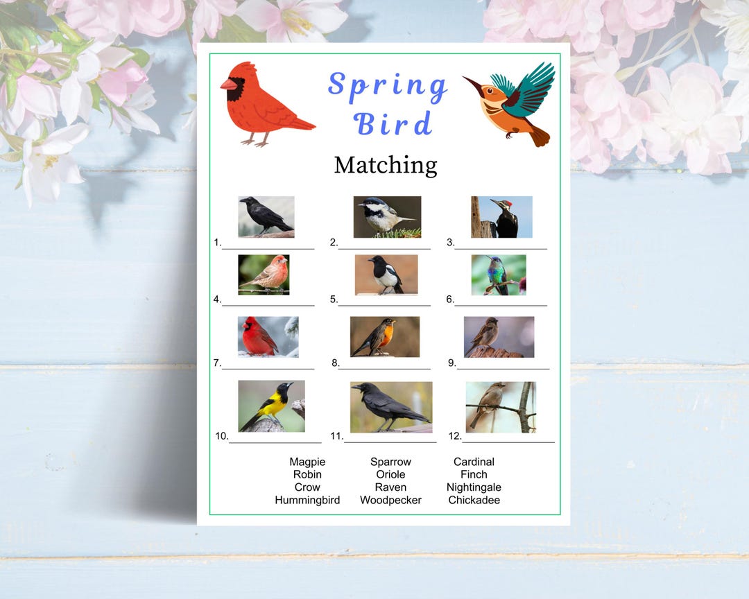 Spring Bird Matching Garden Party Game Printable, Spring Birthday Bird ...