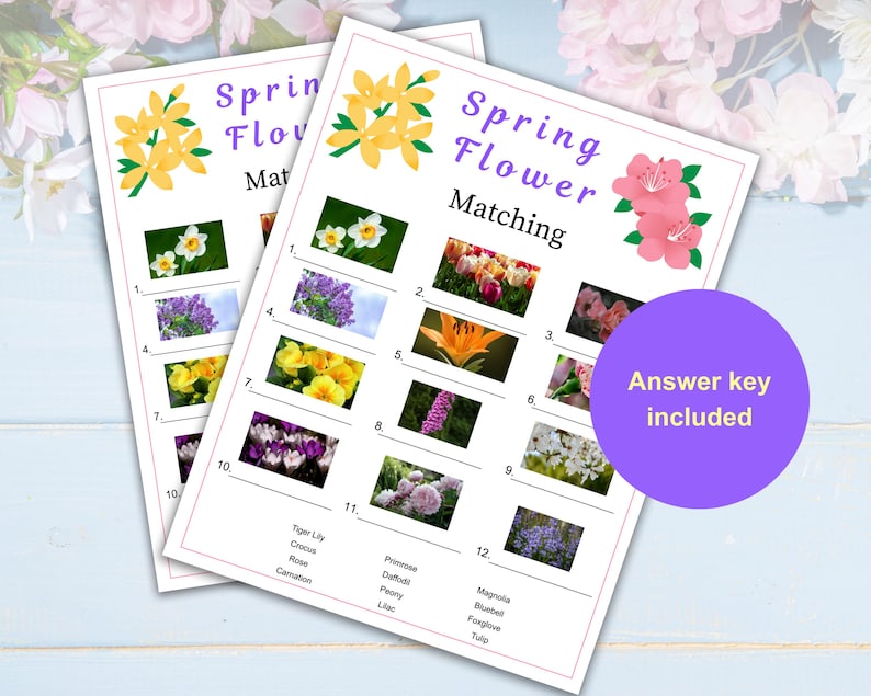 Spring Flower Matching Garden Party Game Printable, Spring Flower ...
