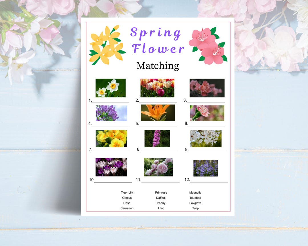 Spring Flower Matching Garden Party Game Printable, Spring Flower ...
