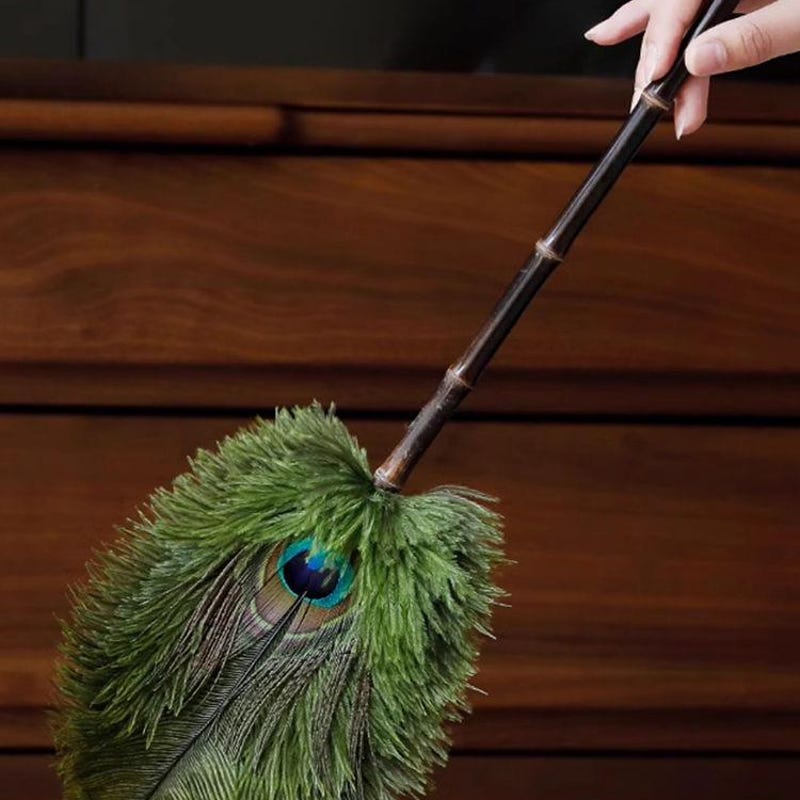 Feather Duster - Etsy