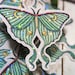 Regal Moth Holographic Sticker, Regal Moth Sticker, Laminated Sticker ...