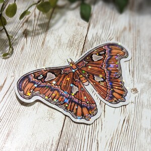 Holographic Atlas Moth Sticker, Laminated Stickers, Water Resistant ...