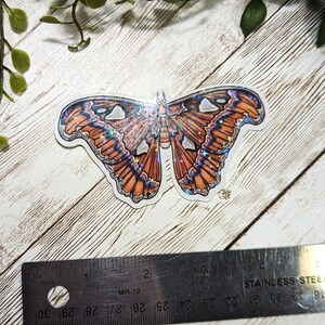 Holographic Atlas Moth Sticker, Laminated Stickers, Water Resistant ...