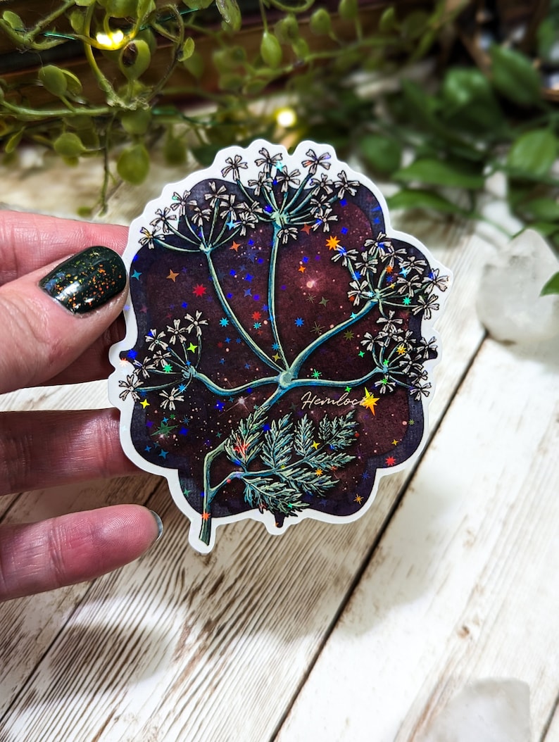 Holographic Hemlock Sticker, Laminated Stickers for Water Bottles ...