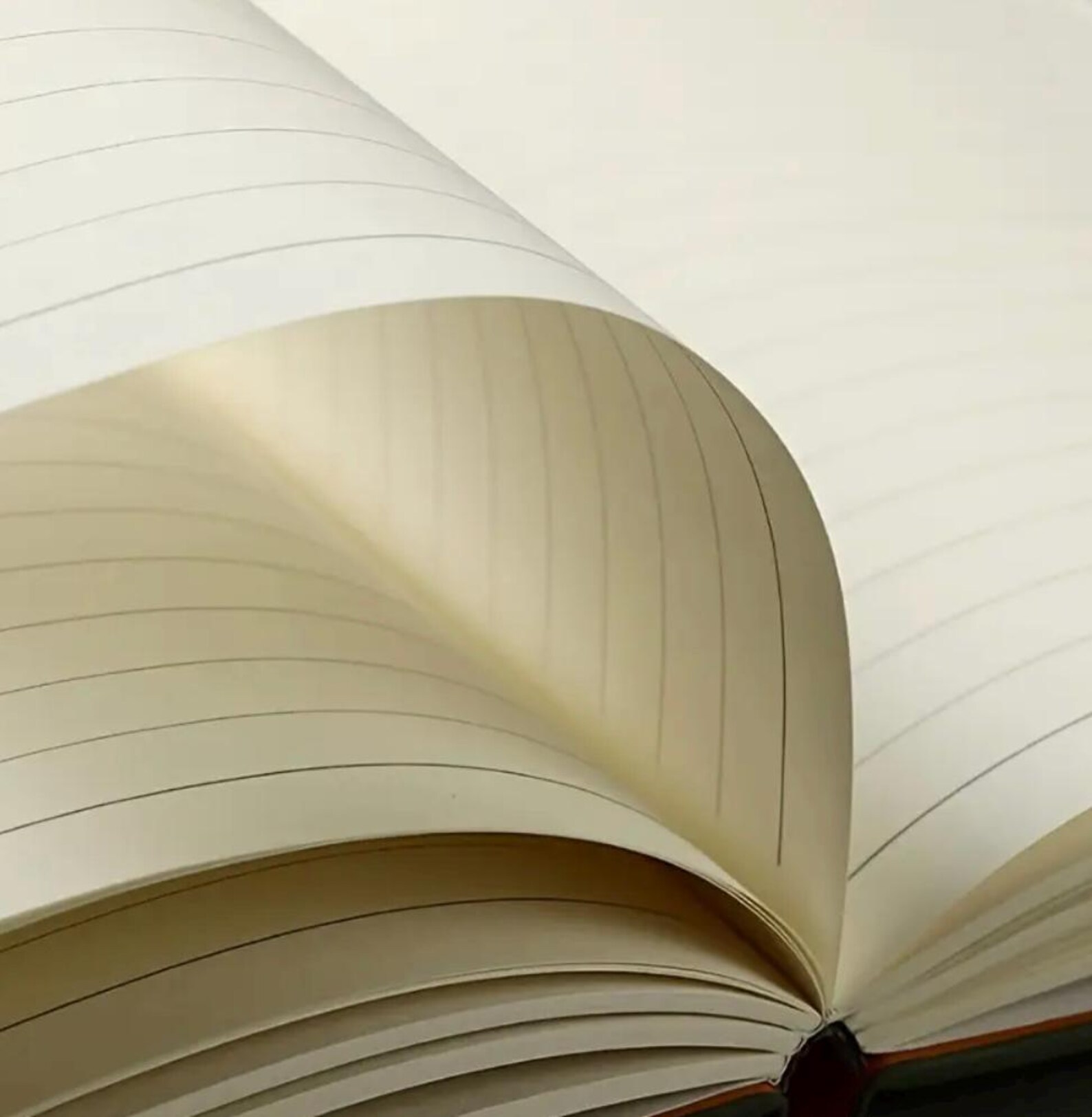 Customized Logo Notebook Gif Box Water Cup Gift- Business Office Gift ...