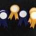 Prize Ribbons First Place-blue and Gold AWARD Ribbon-felt - Etsy