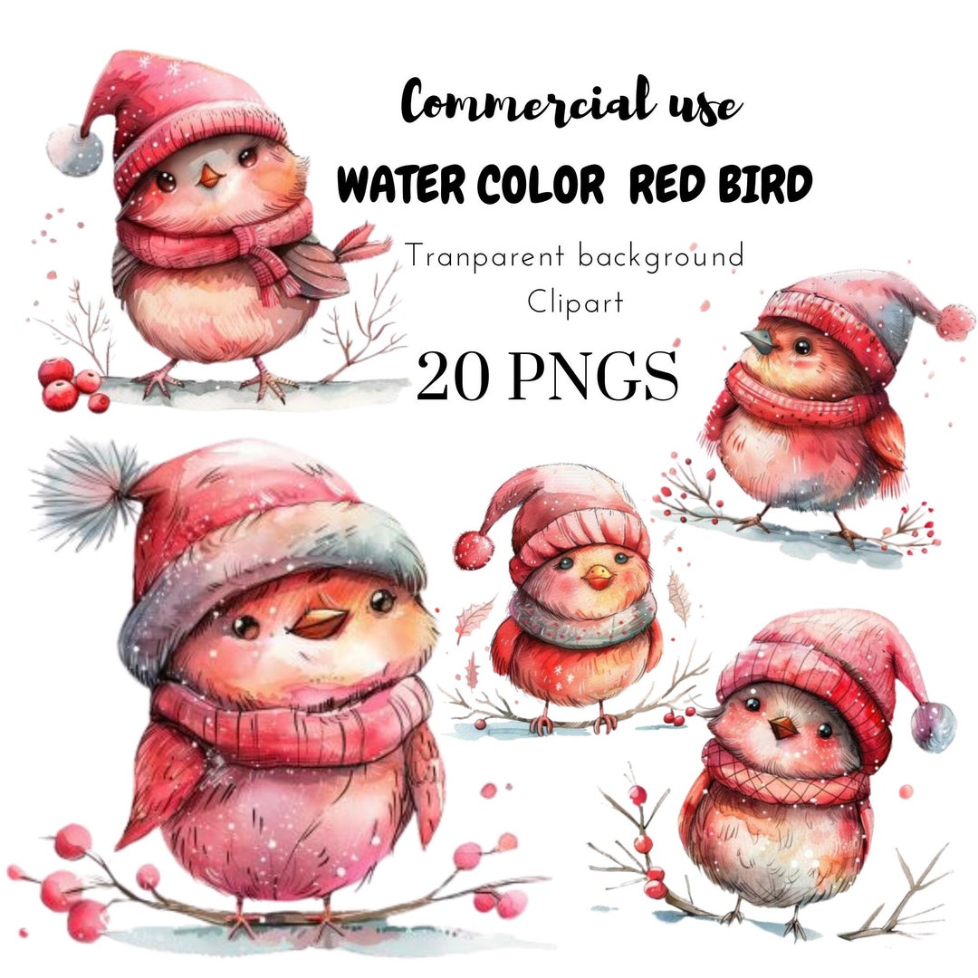 Christmas Red Birds Watercolor Clipart of 20 - Transparent Background ...