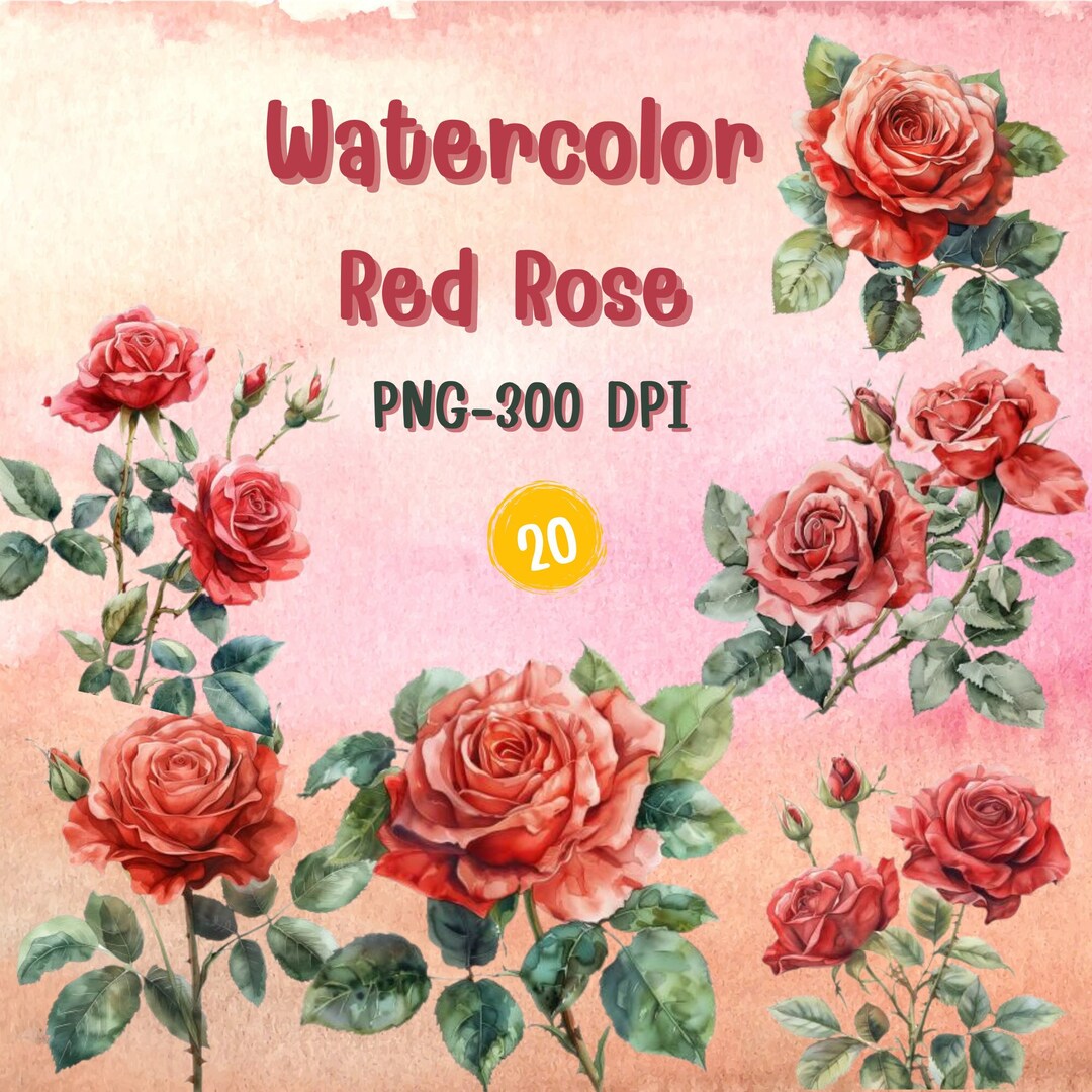 Watercolor Red Rose Clipart, Red Rose PNG 20 High-quality Images ...