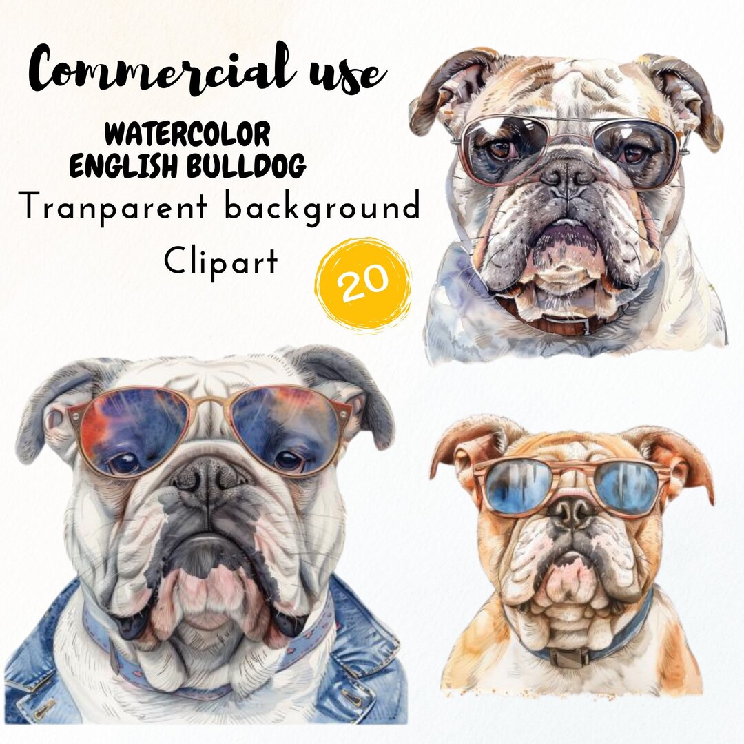 English Bulldog Clipart,png 20high-quality Images for English Bulldog ...