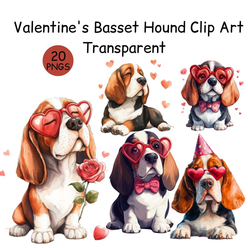 Watercolor Basset Hound Clipart: Heart Glasses Pngs (digital Download ...