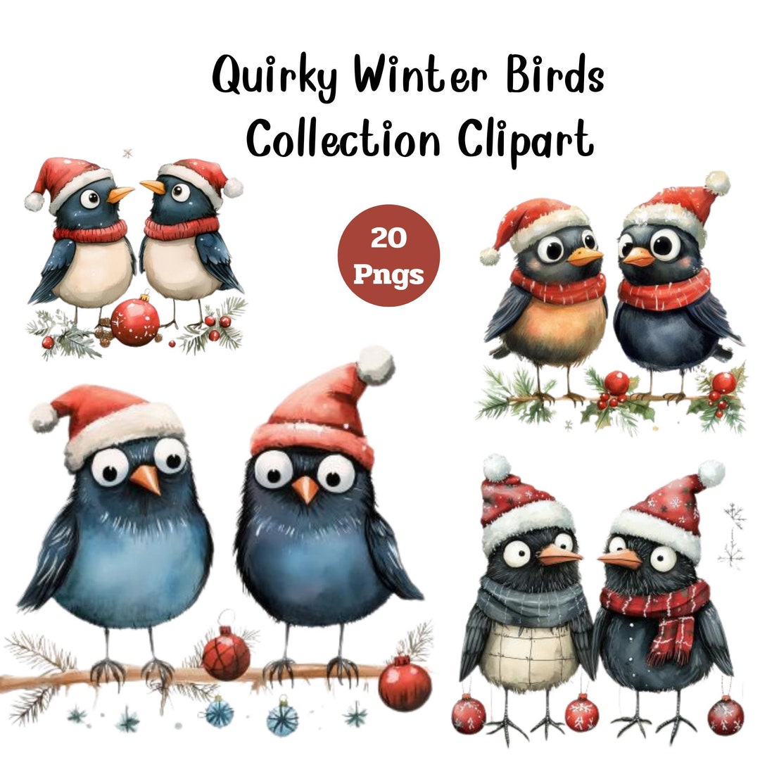 Watercolor Winter Birds Clipart: PNG Graphics, Commercial Use (digital ...