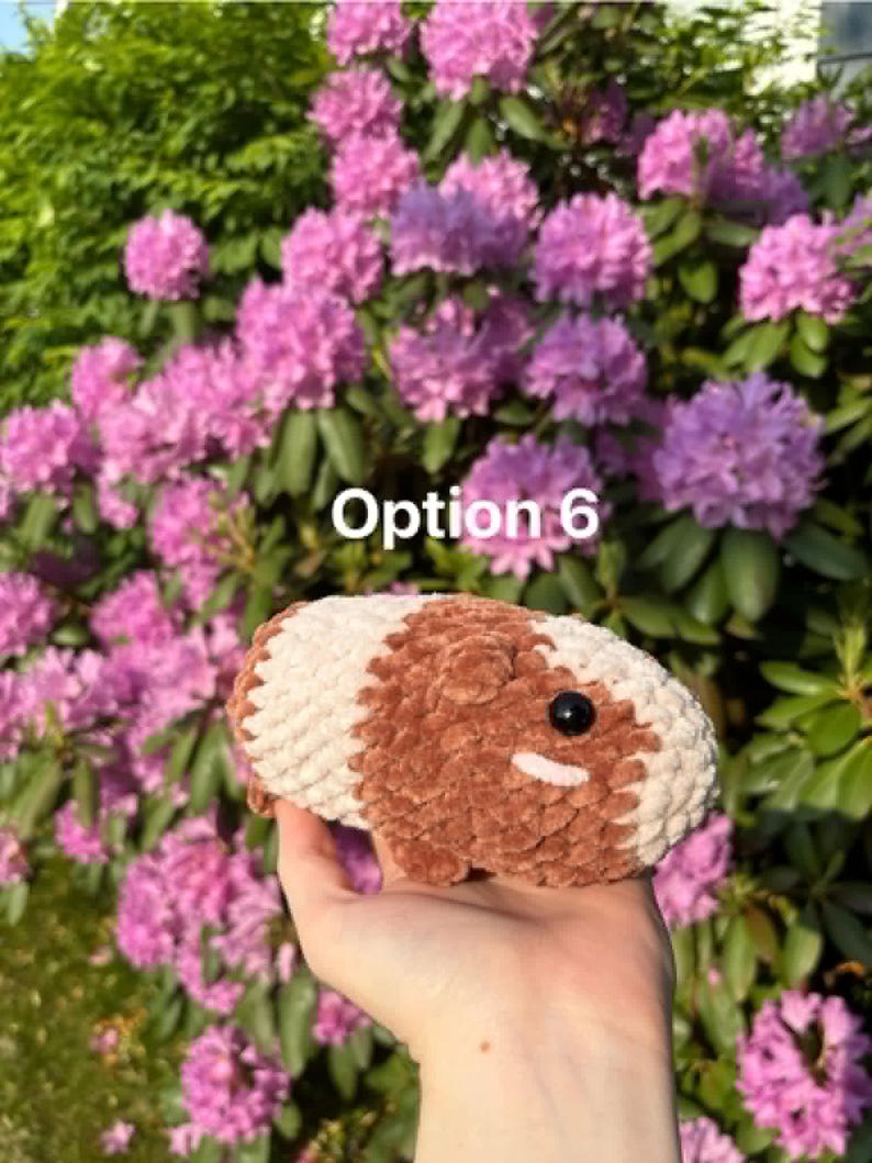 Crochet Guinea Pig; Custom Pet - Etsy