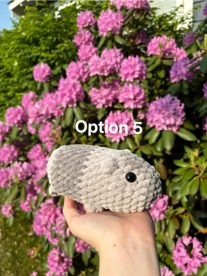 Crochet Guinea Pig; Custom Pet - Etsy