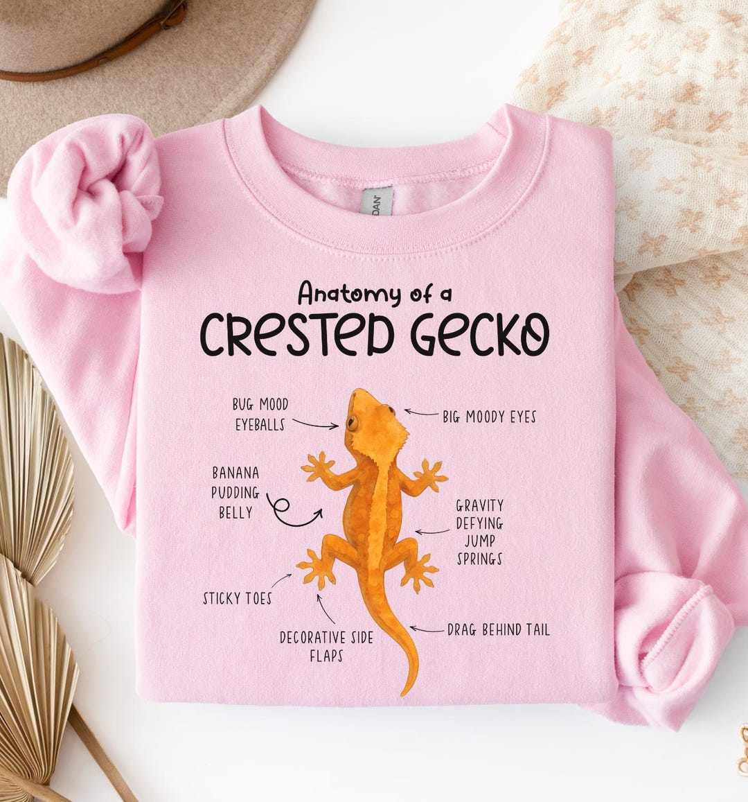 Anatomy of Crested Gecko Sweatshirt, Pet Reptile Lover Gift, Funny ...