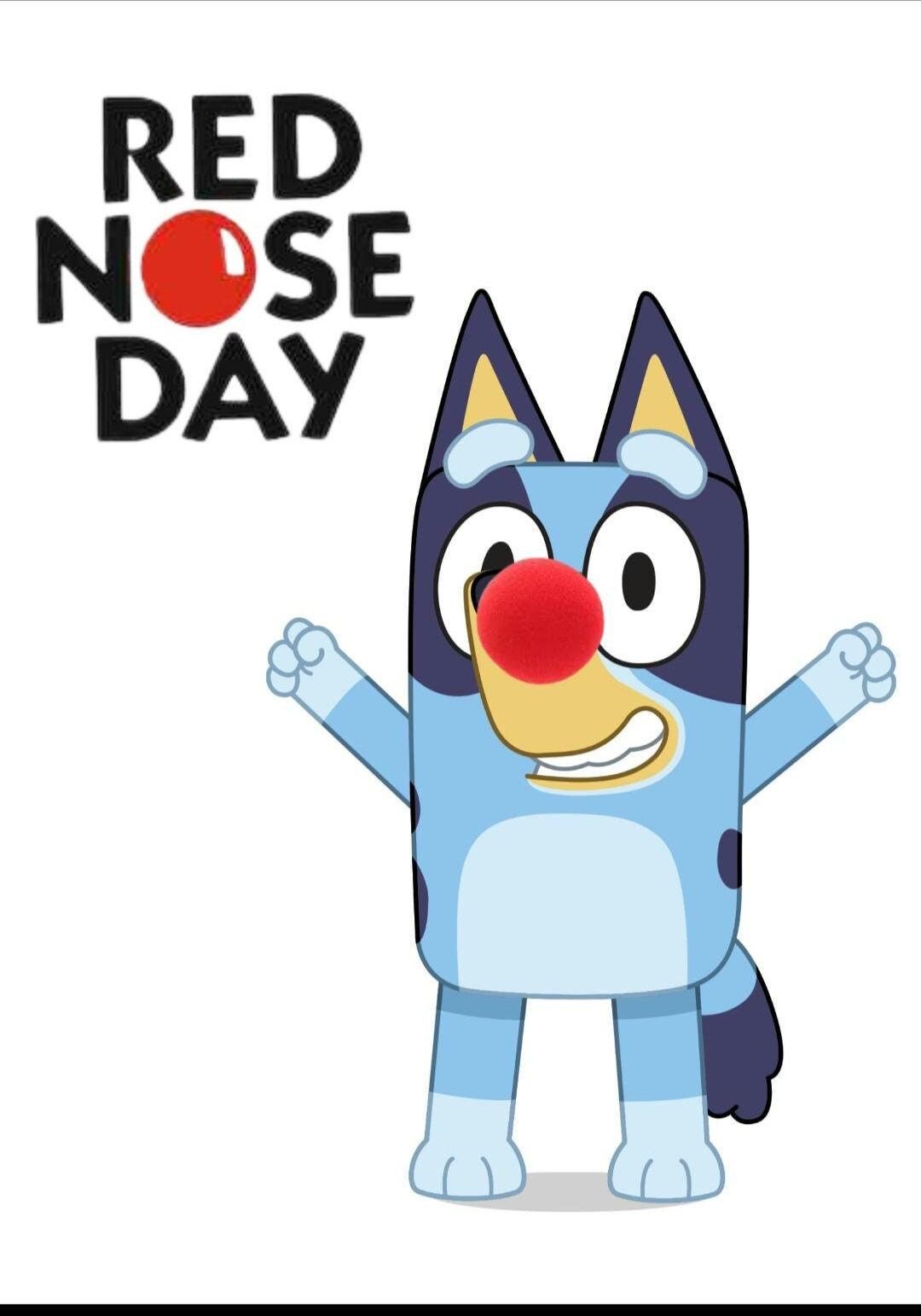 Red Nose Day 2025 Bluey Inspired - Etsy