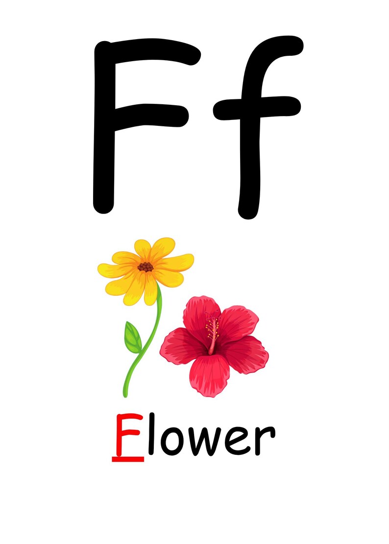 Educational Alphabet Flashcards for Kids | A-Z Printable Cards With ...