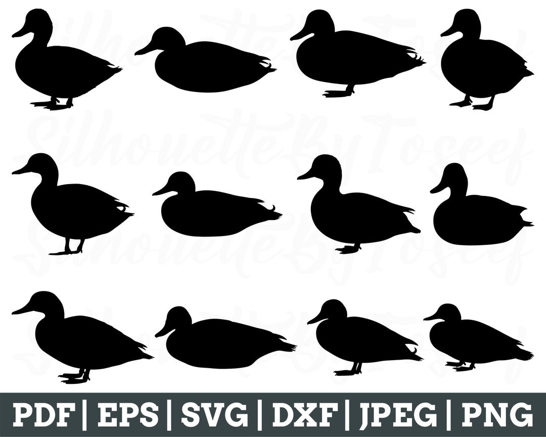 Waterfowl Birds Svg, Waterfowl Bird Cut File, Waterfowl Silhouette ...