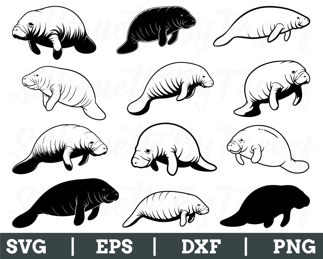 Manatee Svg, Manatee Silhouette, Manatee Cut File, Manatee Vector, Dxf ...
