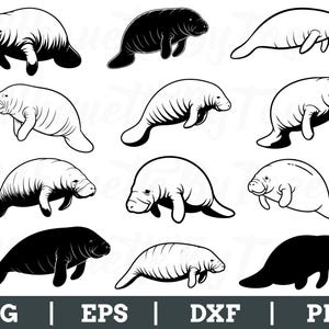 Manatee Svg, Manatee Silhouette, Manatee Cut File, Manatee Vector, Dxf ...