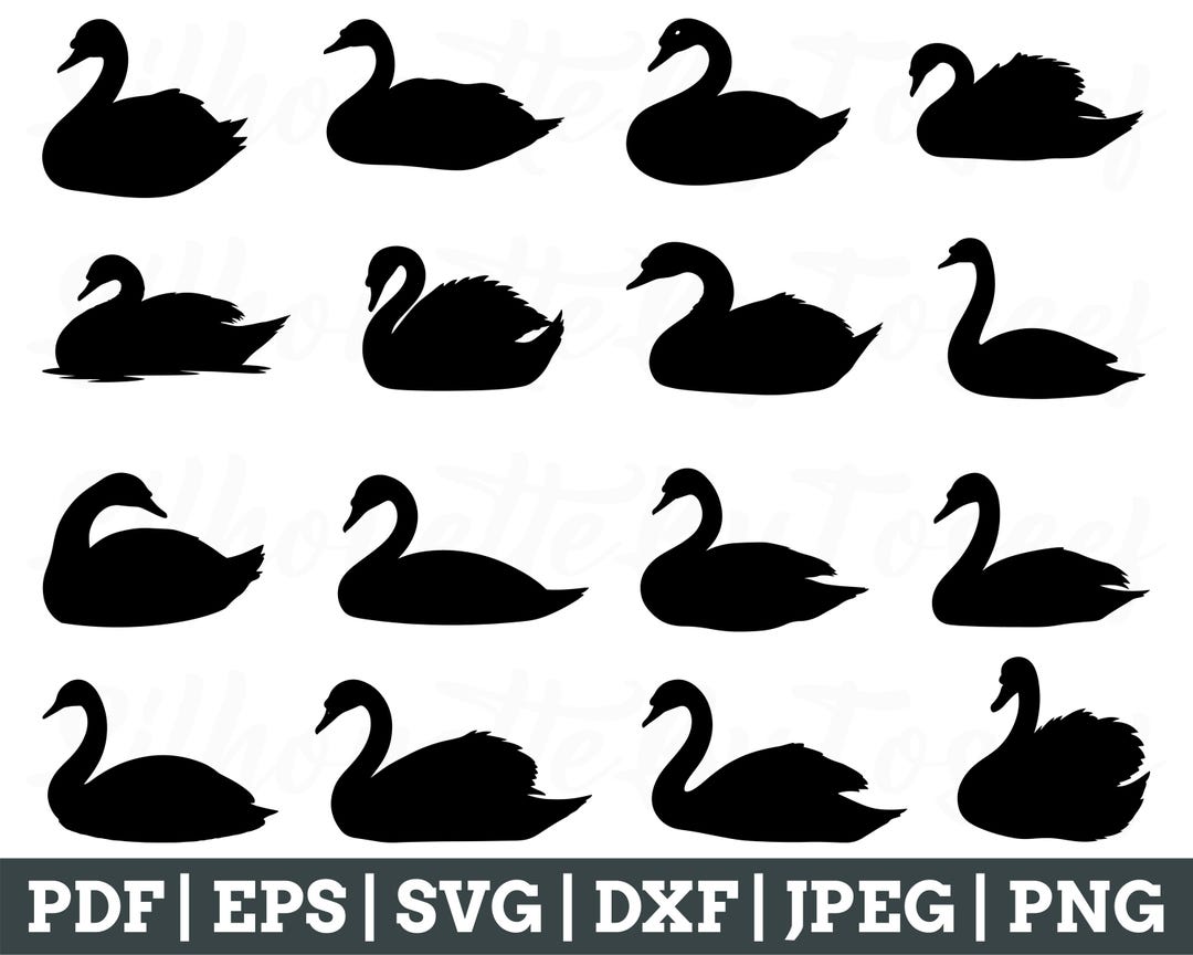 Swan Svg, Swan Bird Silhouette, Swan Cut File, Swan Cricut, Swan Vector ...