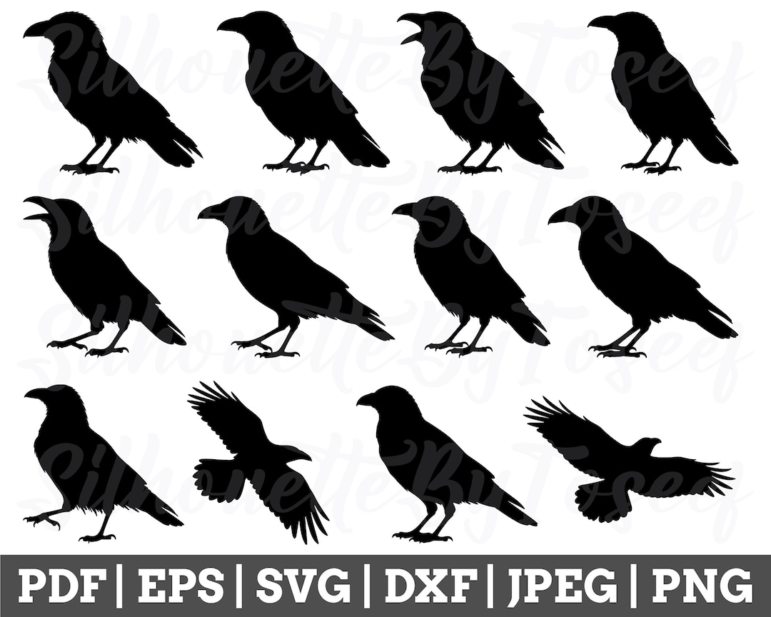 Crow Svg, Crow Silhouette, Crow Cut File, Crow Vector, Crow Cricut ...