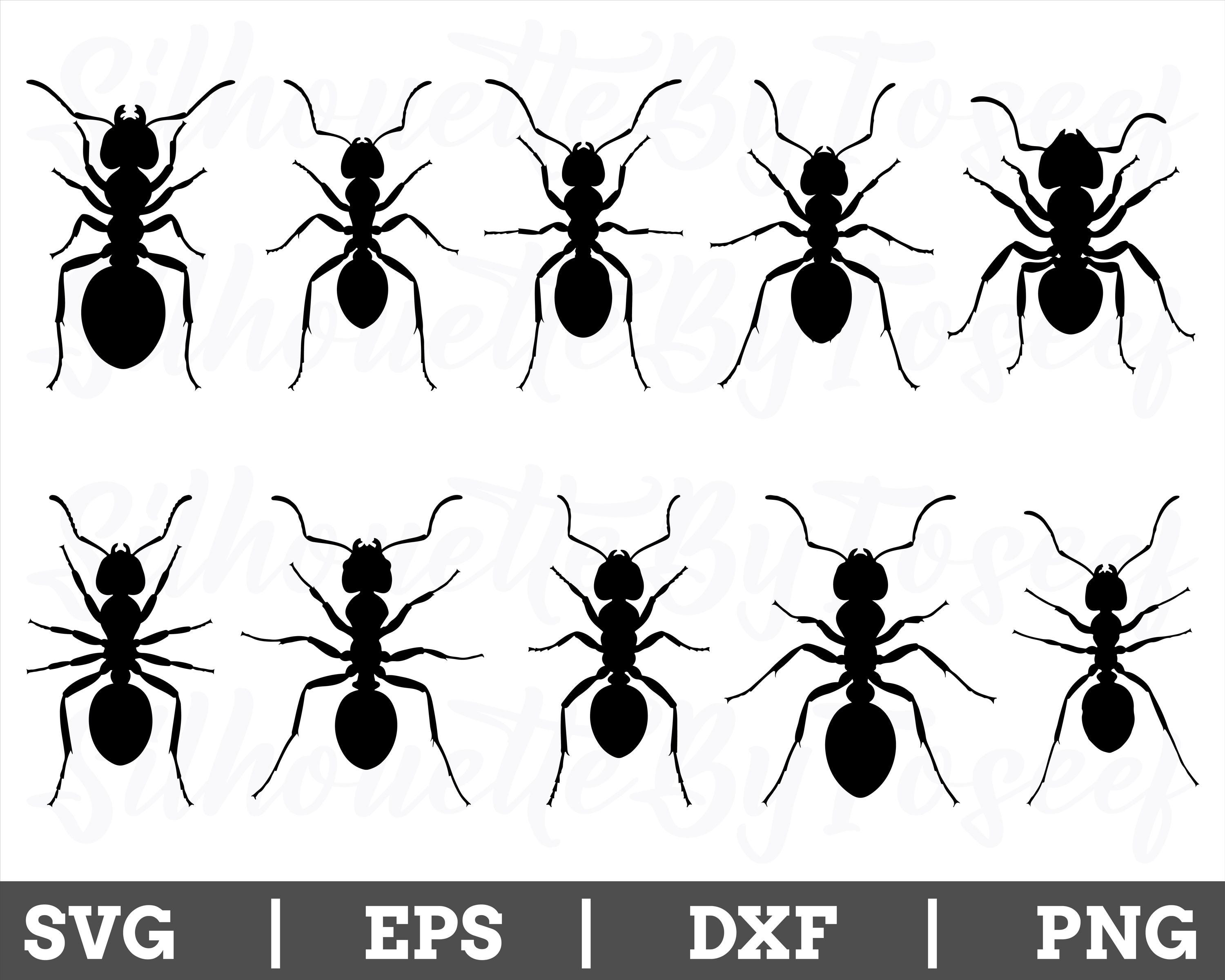 Ants Svg, Ants Cut File, Ant Silhouette, Ant Vector, Ant Dxf, Png - Etsy